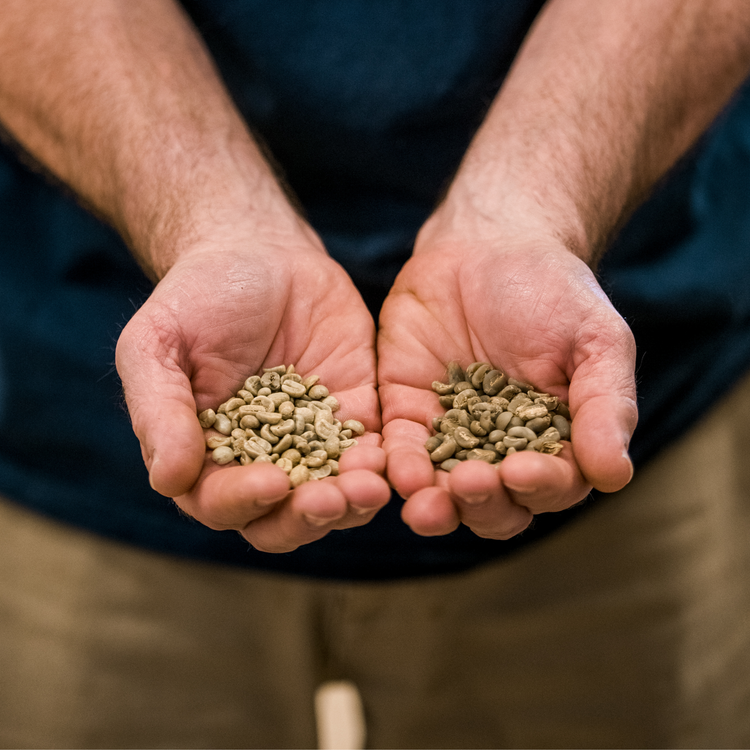 Brevé Coffee
