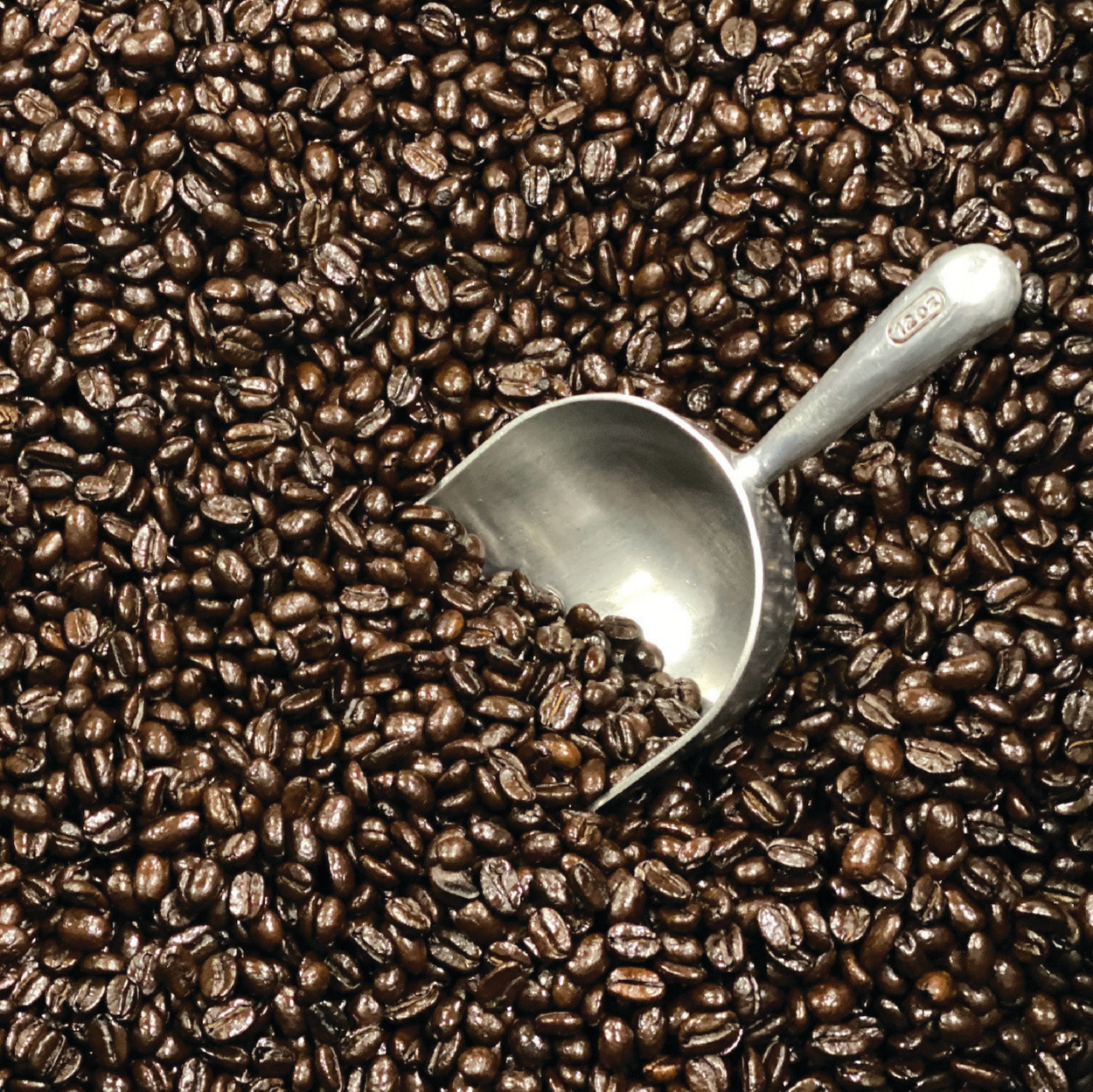 Brevé Coffee